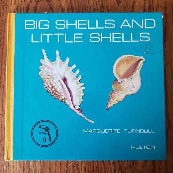 Magpie Books | Other | Big Shells And Little Shells Picture Book | Poshmark